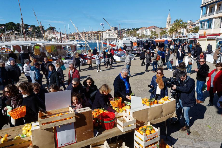 sanary-plus-beau-marché-de-france – villa madeleine